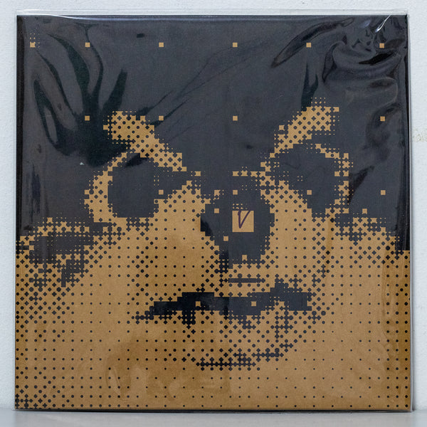 V (BTS) - Layover Vinyl – Sunny Day Record Club