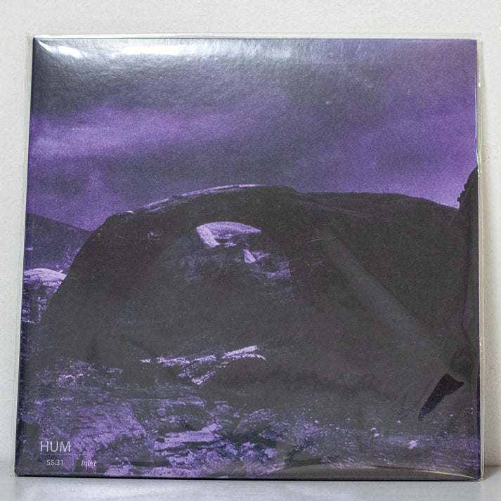 HUM - Inlet Vinyl – Sunny Day Record Club