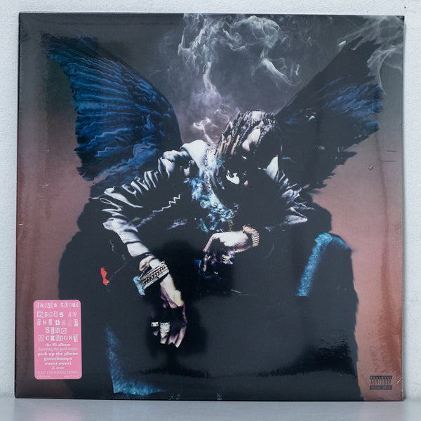 Travis Scott - Birds In The Trap Sing McKnight Vinyl – Sunny Day Records